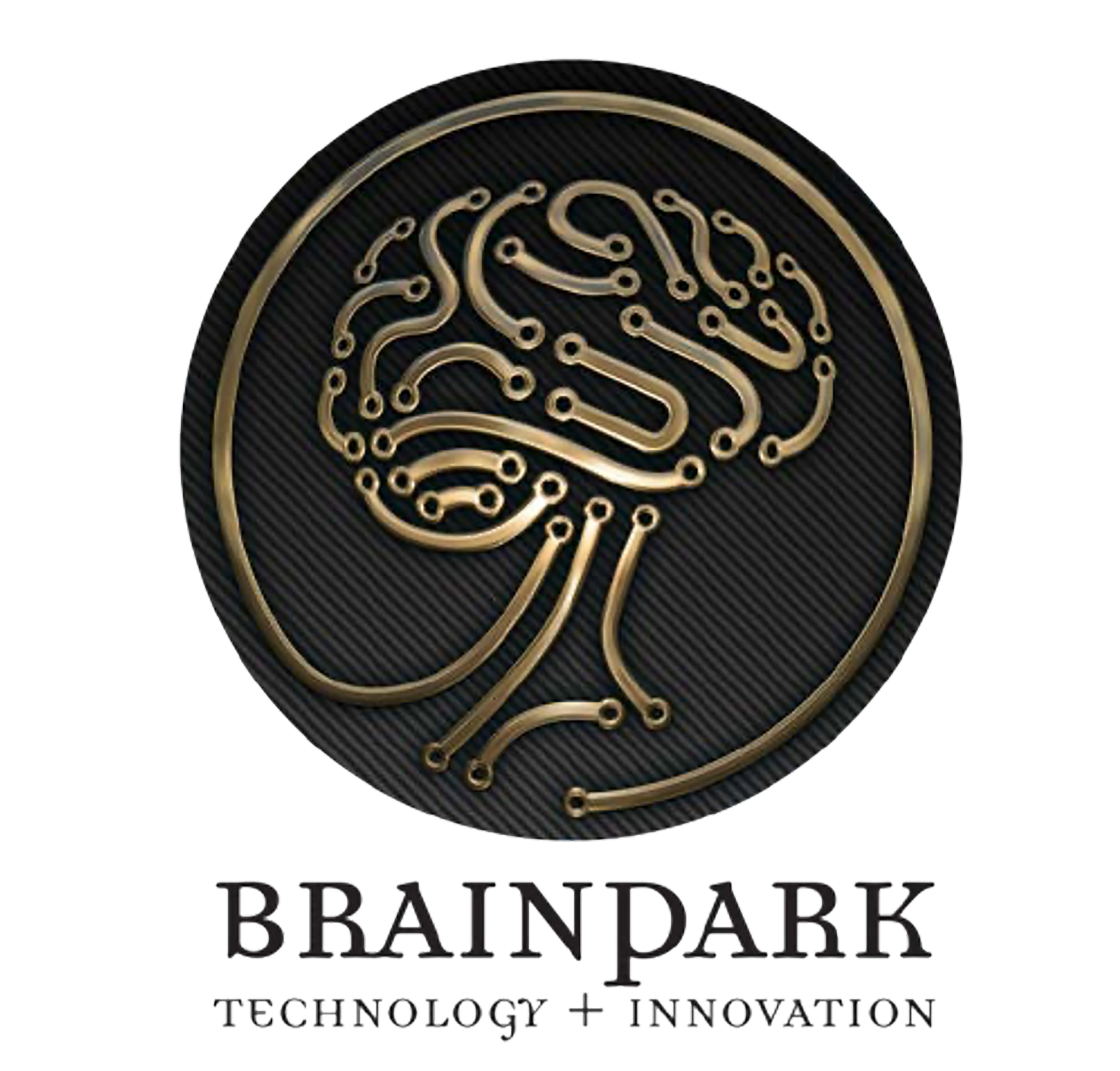 Brain Technology & Innovation Park | SBMT Initiative