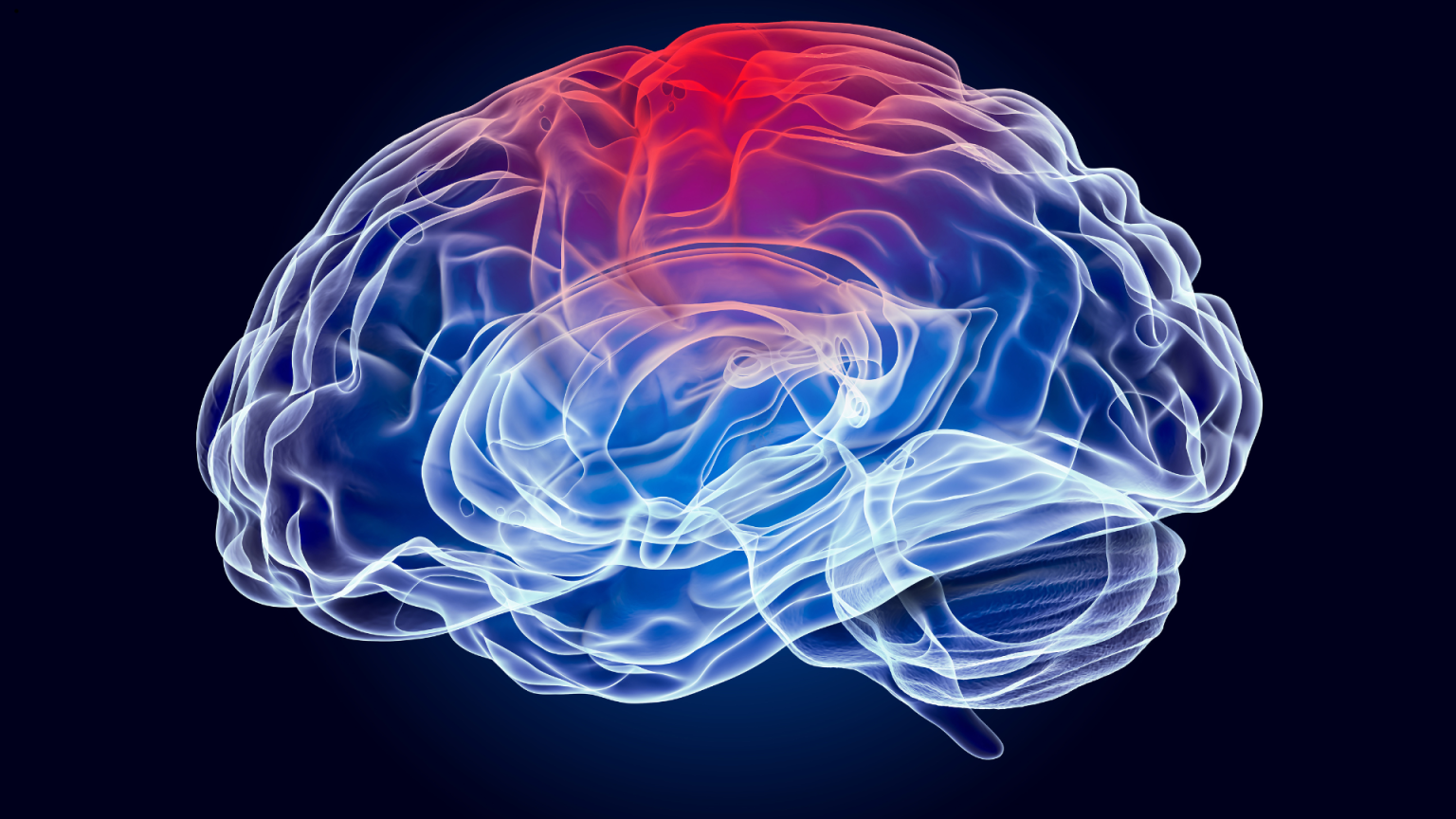 Applications in Diagnosing Brain Disorders - Society for Brain Mapping ...