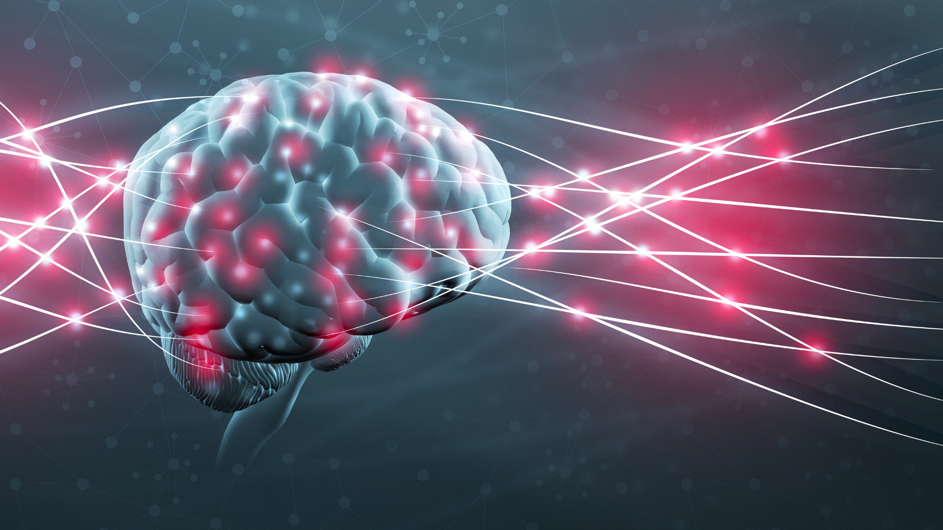 DTI in Studying Brain Connectivity – Society for Brain Mapping and ...